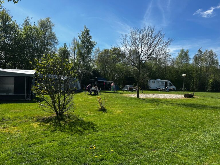 Camping | in Drenthe | Elim - Zen Ranch